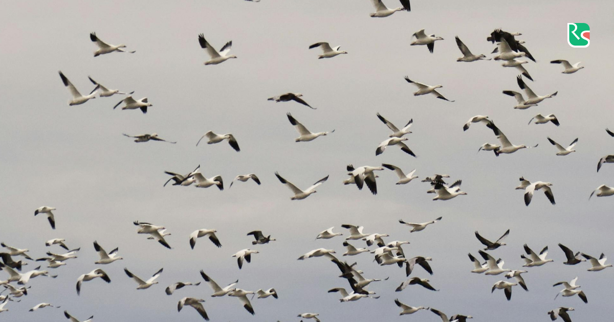 How to Understand if Your Remote Managers Are Losing Clients: 7 Warning ...